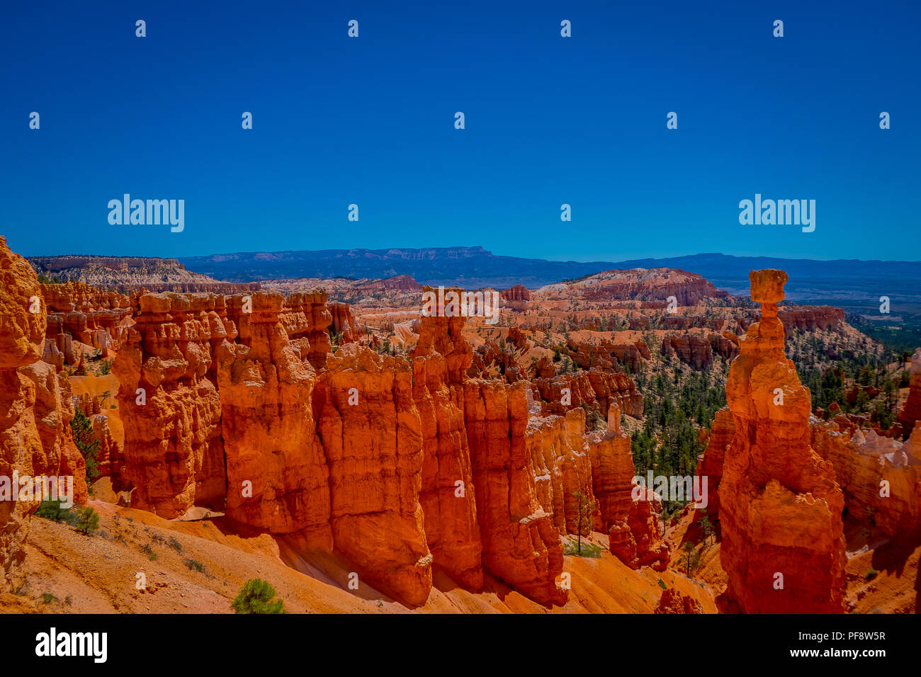 Great spires carved away by erosion in Bryce Canyon National Park, Utah ...