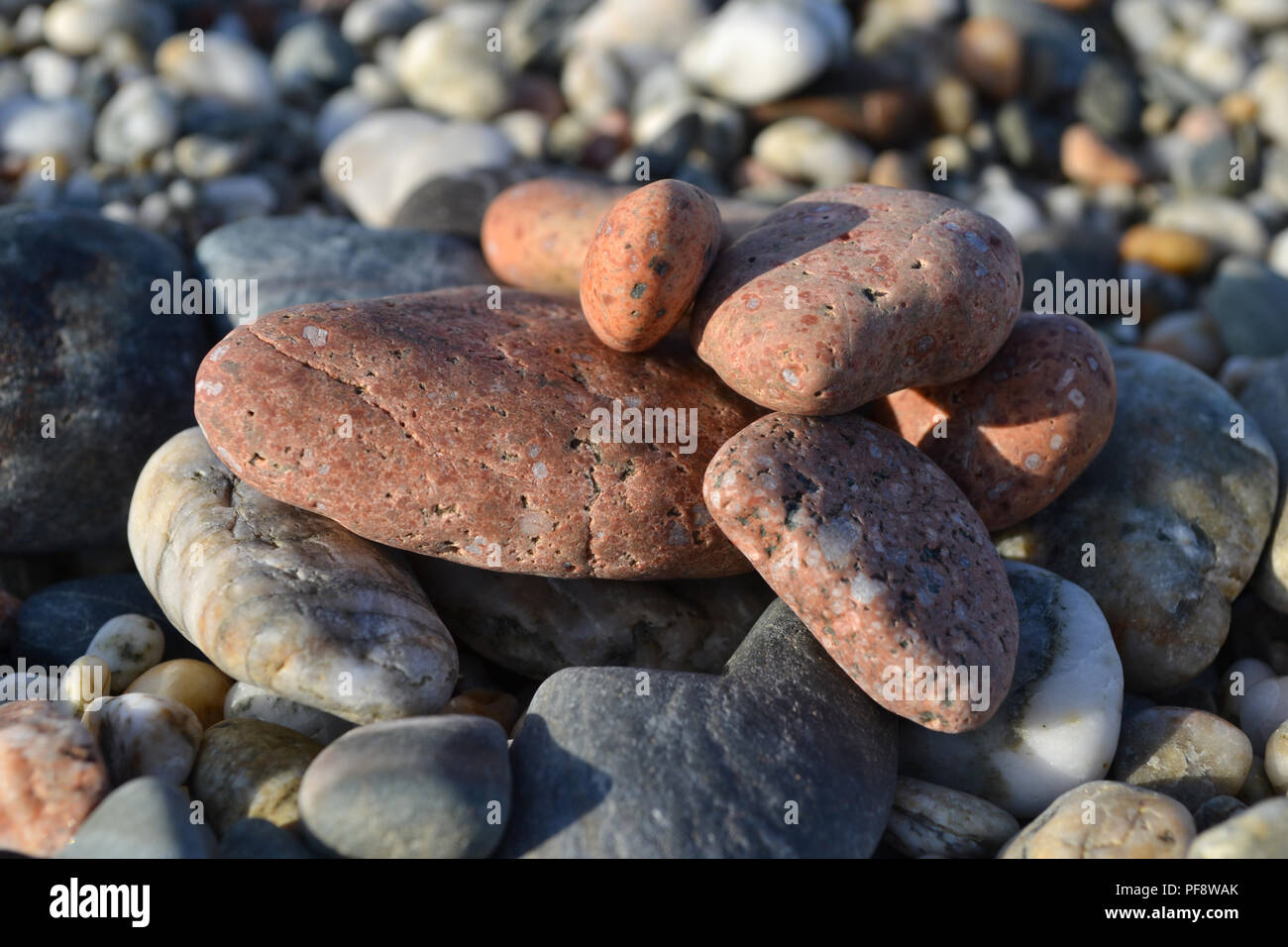 Colorful sea pebbles - Beautiful round stones on the beach Stock Photo ...