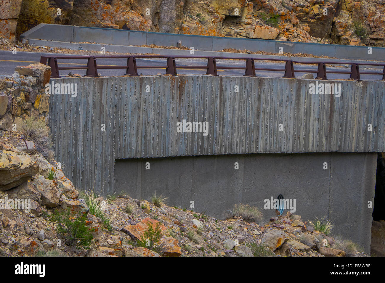 Yellowstone's Grand Loop Road passes through the Golden Gate surrounded ...