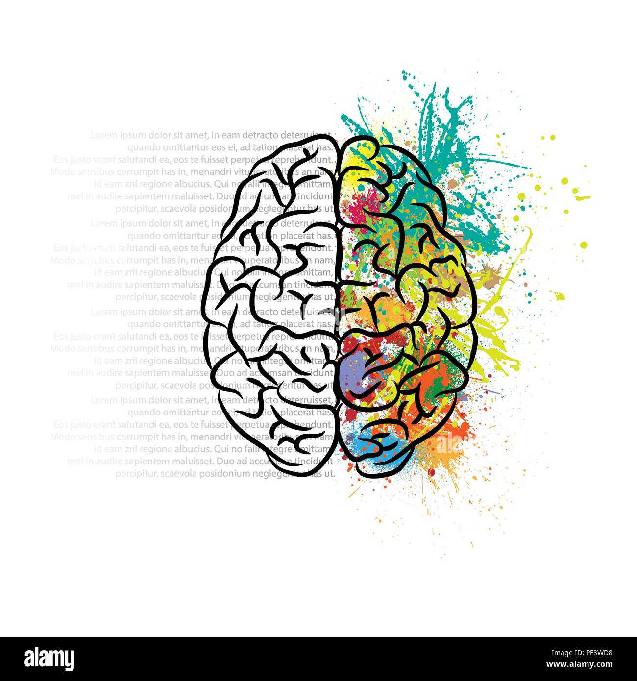 Human brain silhouette with color ink splashes and gray text Stock ...