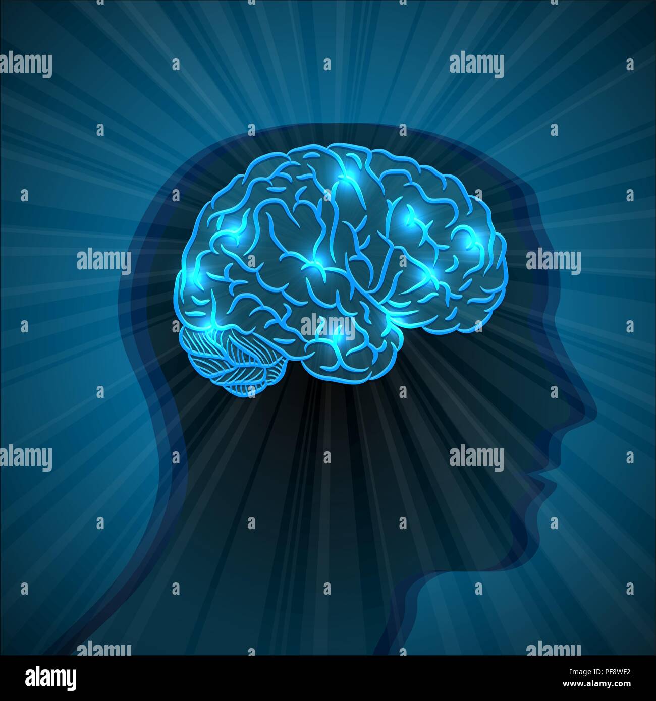 Head brain anatomy Stock Vector Images - Alamy