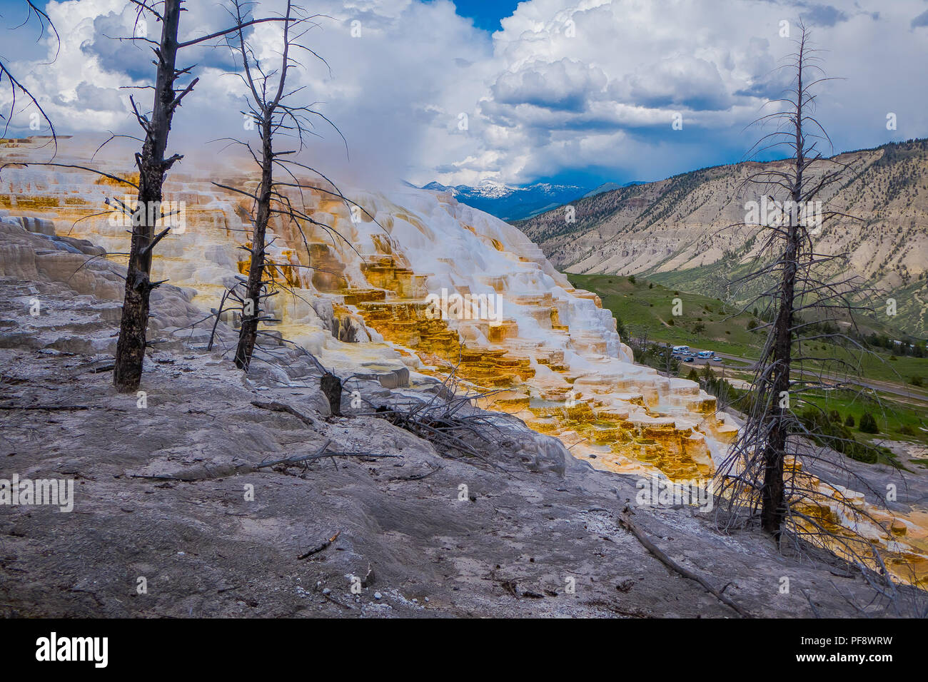 Canary Springs on terraces of Mammoth Hot Springs in Yellowstone ...
