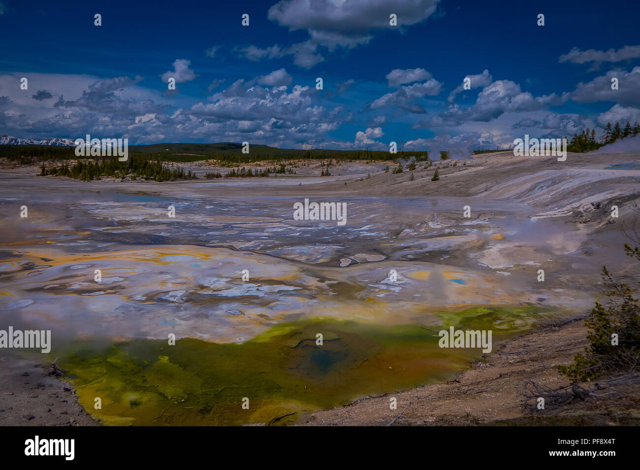 Steaming opaque thermal pools at Norris Geyser Basin. Yellowstone ...