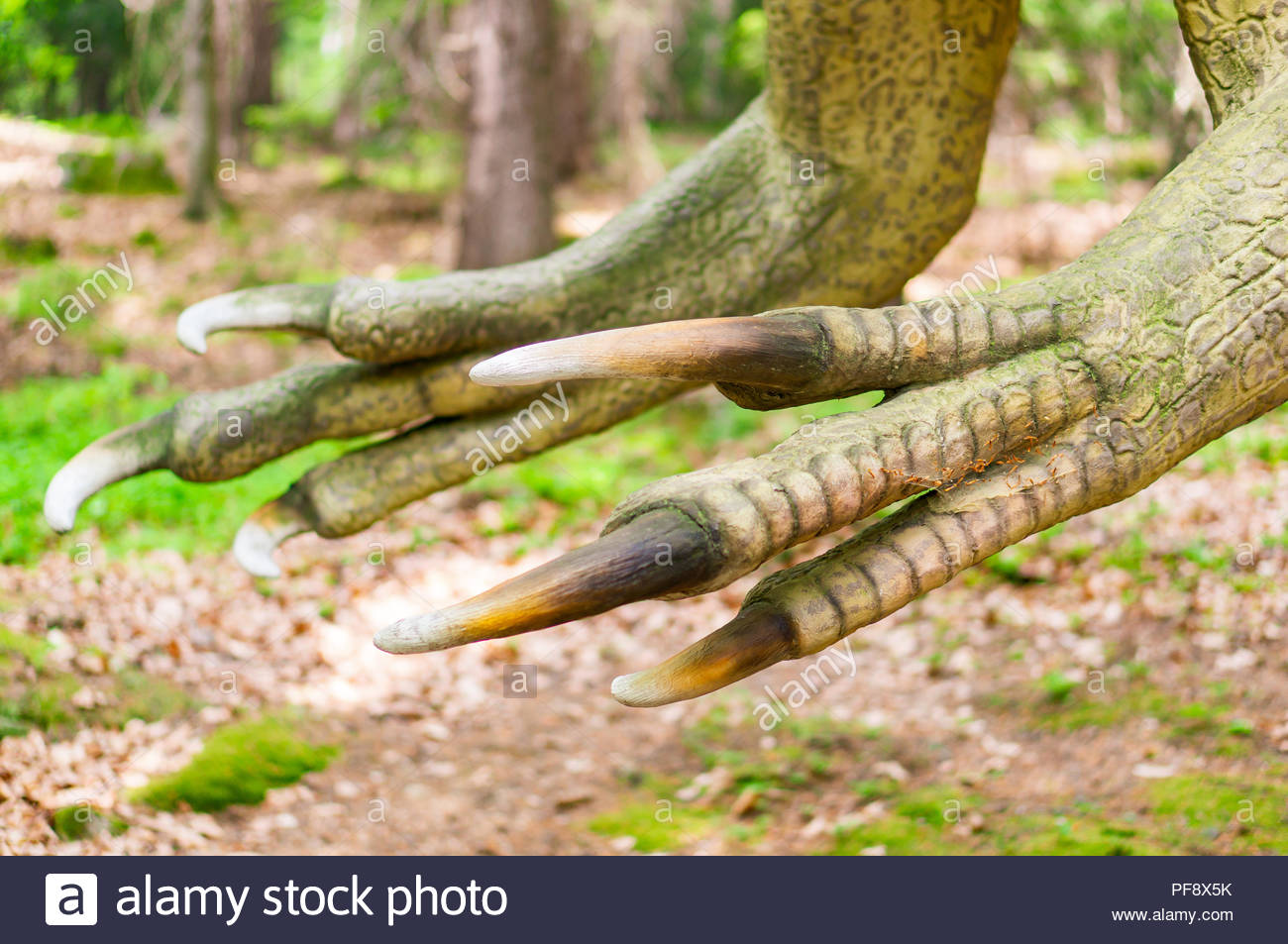 Spinosaurus Dinosaur Stock Photos & Spinosaurus Dinosaur Stock Images ...