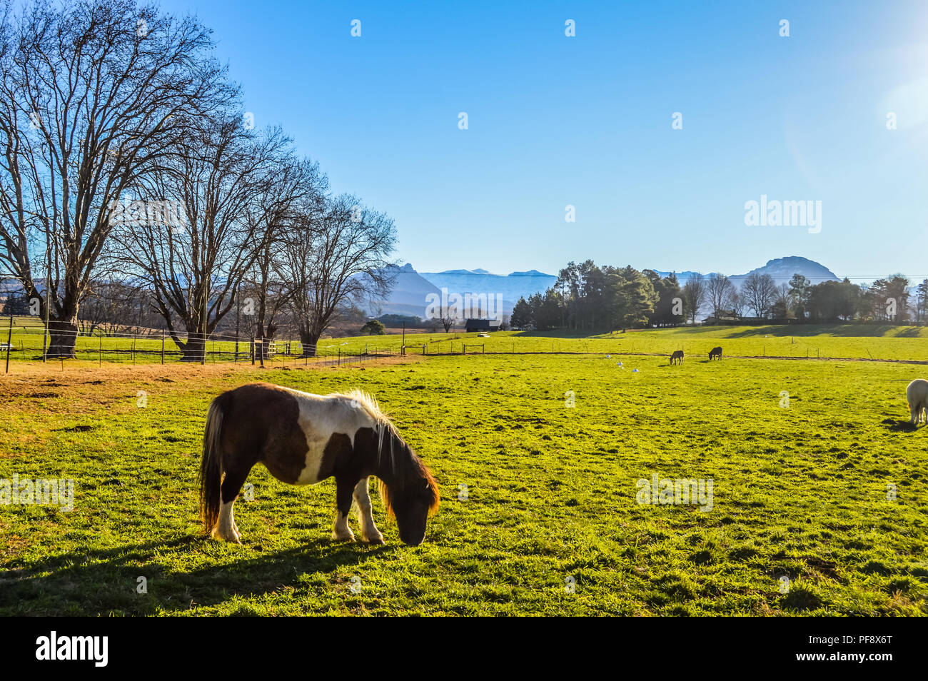 Underberg hi-res stock photography and images - Alamy