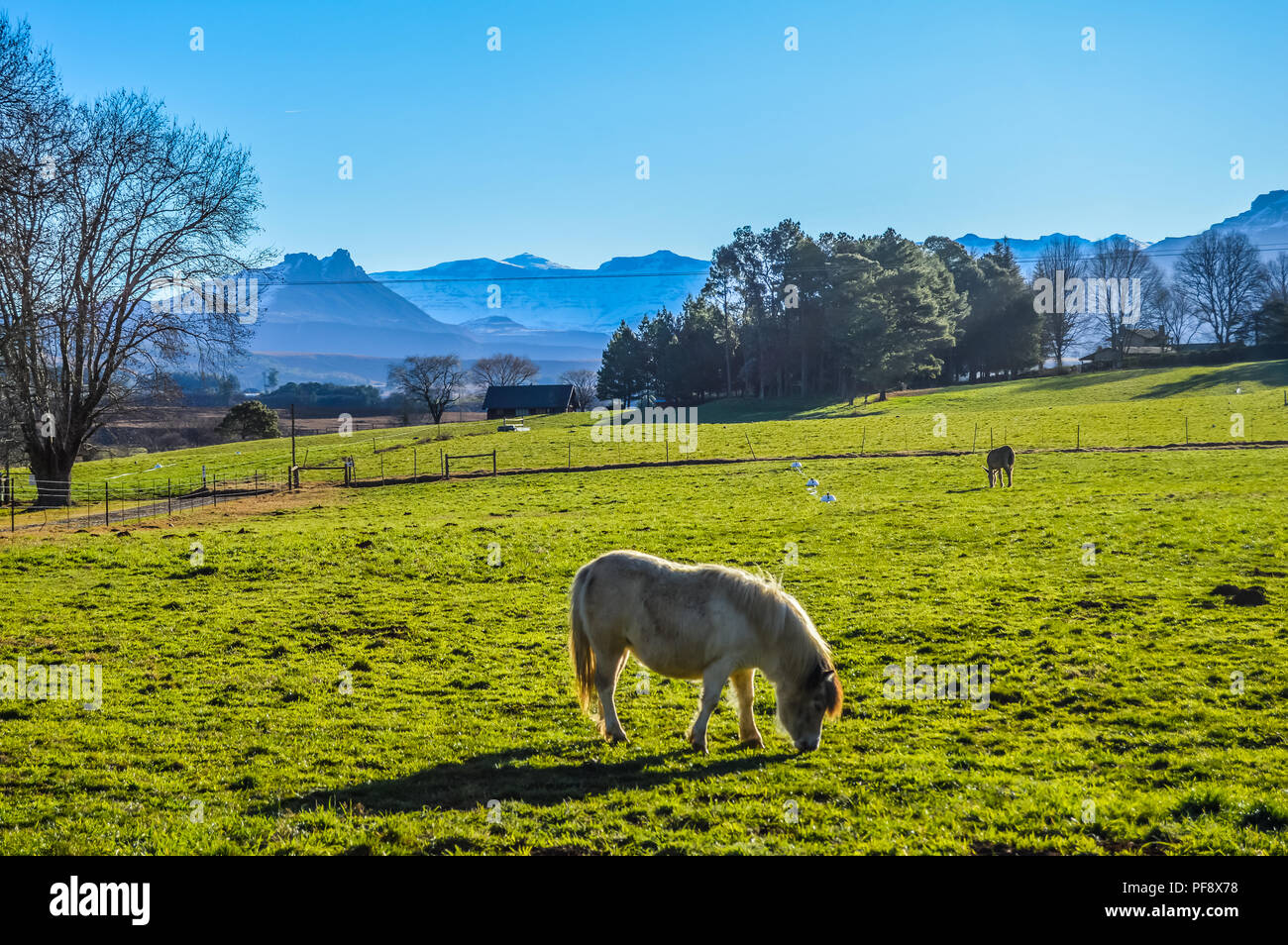 Underberg hi-res stock photography and images - Alamy