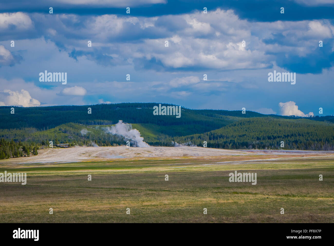 Amazing landscape of small geysers, hot springs, and vents. The ...