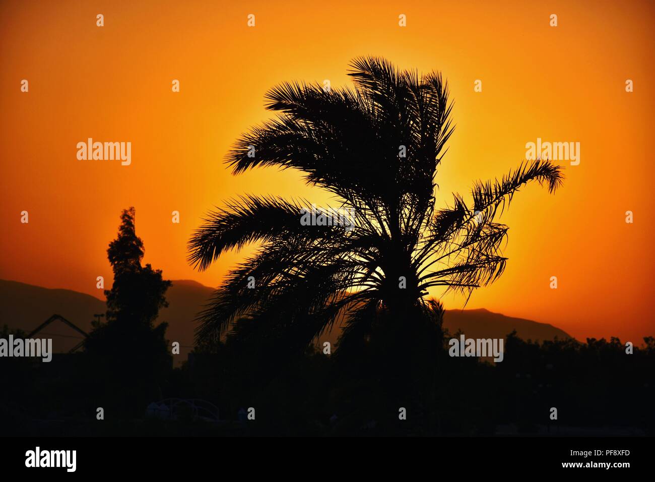 Shadow of life Stock Photo - Alamy