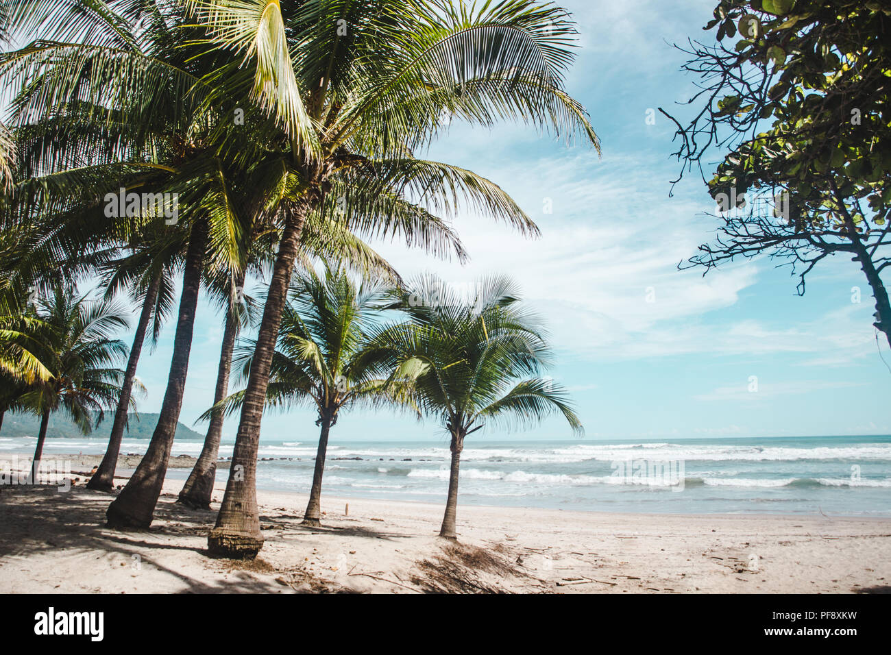 Santa teresa costa rica hi-res stock photography and images - Alamy