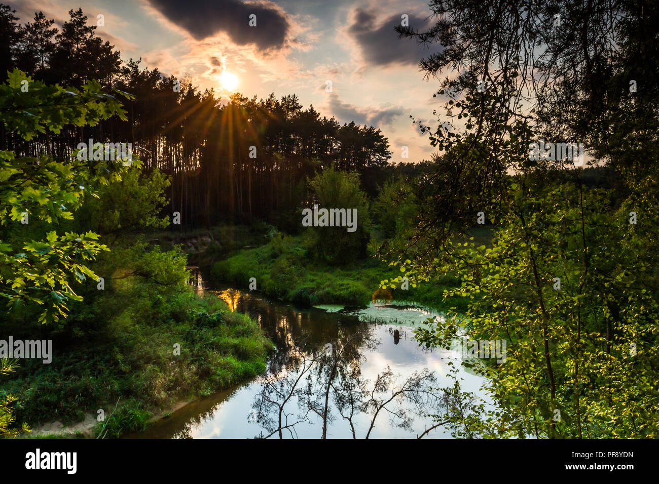 Summer landscape over a wild river Stock Photo - Alamy