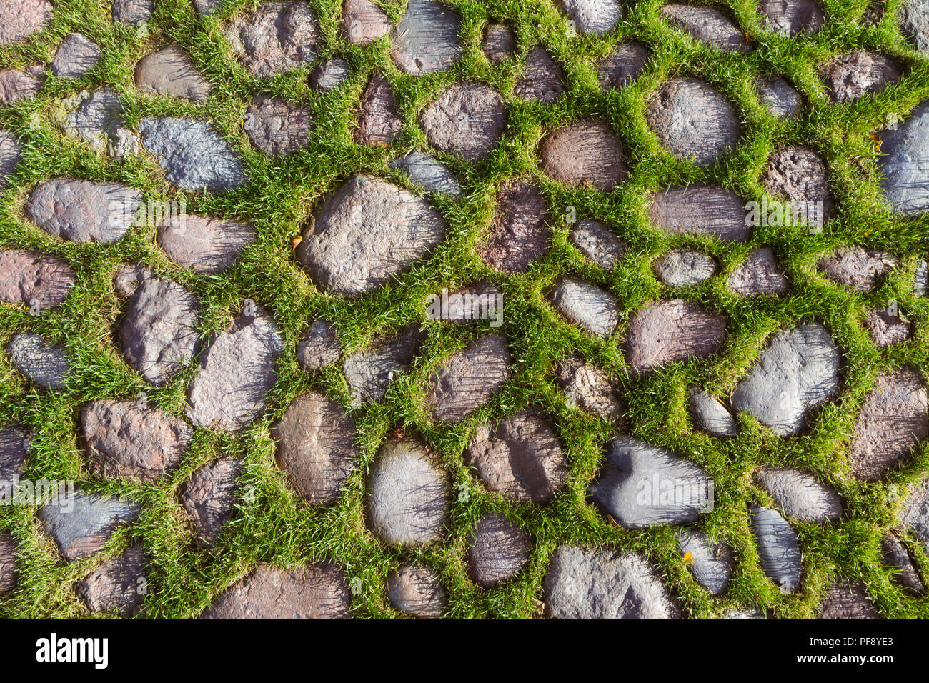 Cobblestone with grass texture hi-res stock photography and images - Alamy