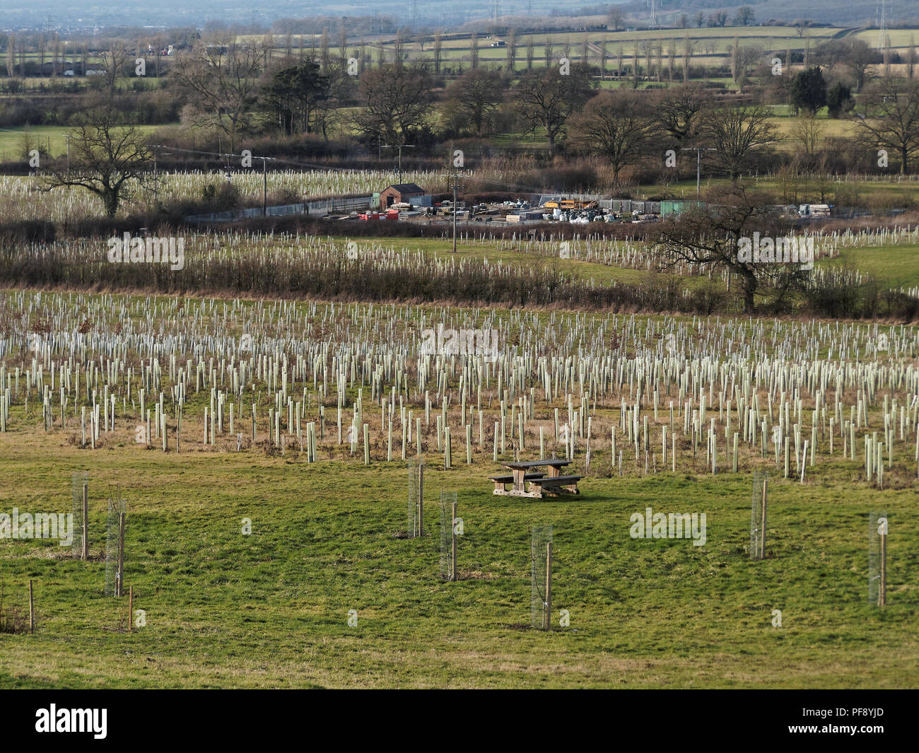 Devizes tree plantation hi-res stock photography and images - Alamy