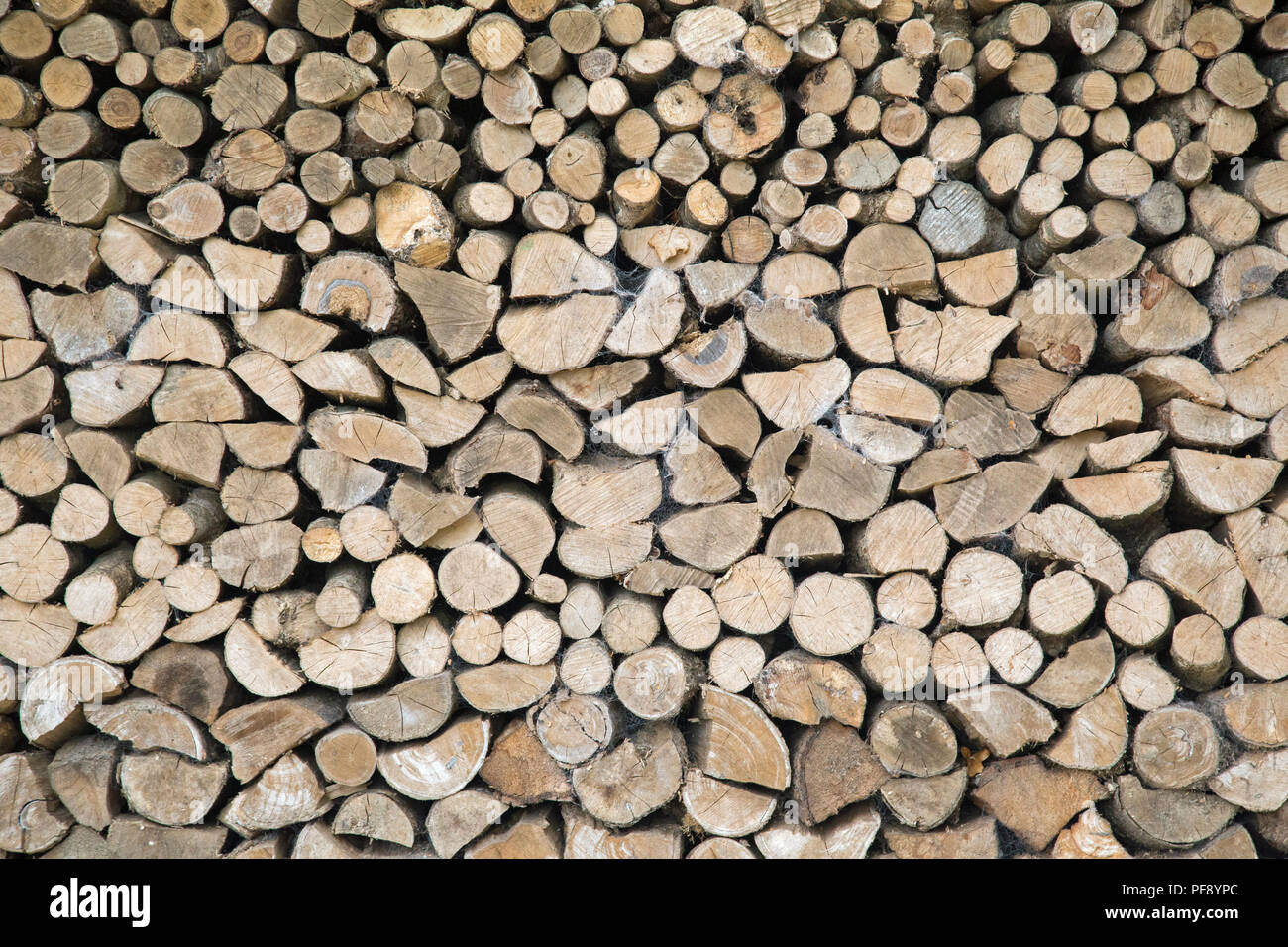 Large wood pile hi-res stock photography and images - Alamy