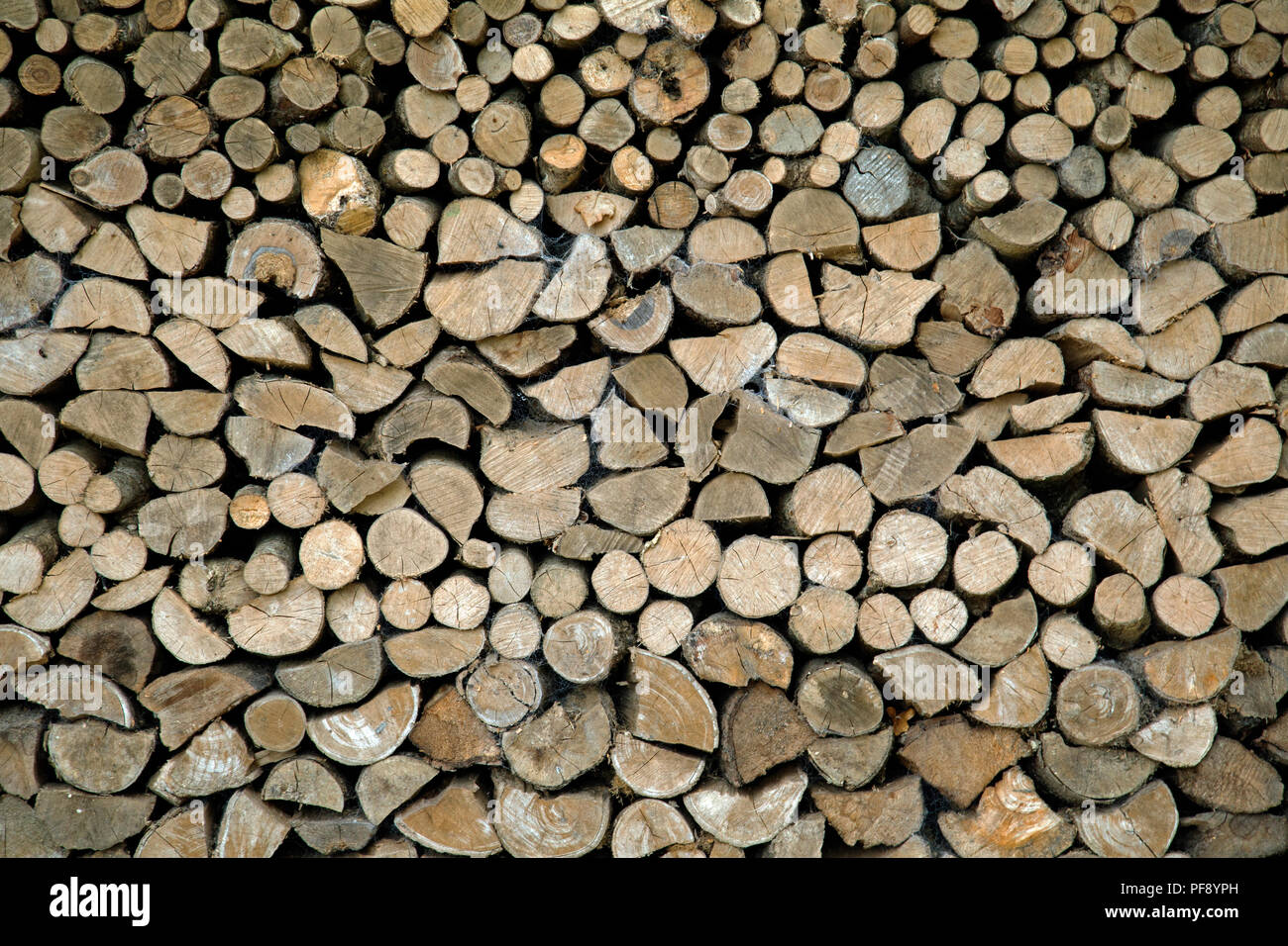 Close up on a very large wood pile Stock Photo - Alamy