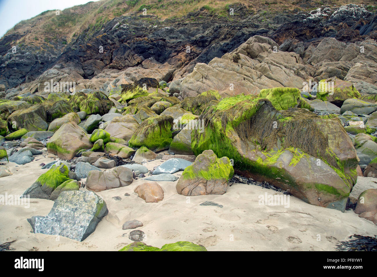 Beach scene showing rocks on a sandy beach Stock Photo - Alamy