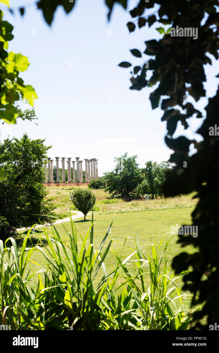 Us capitol and columns hi-res stock photography and images - Alamy