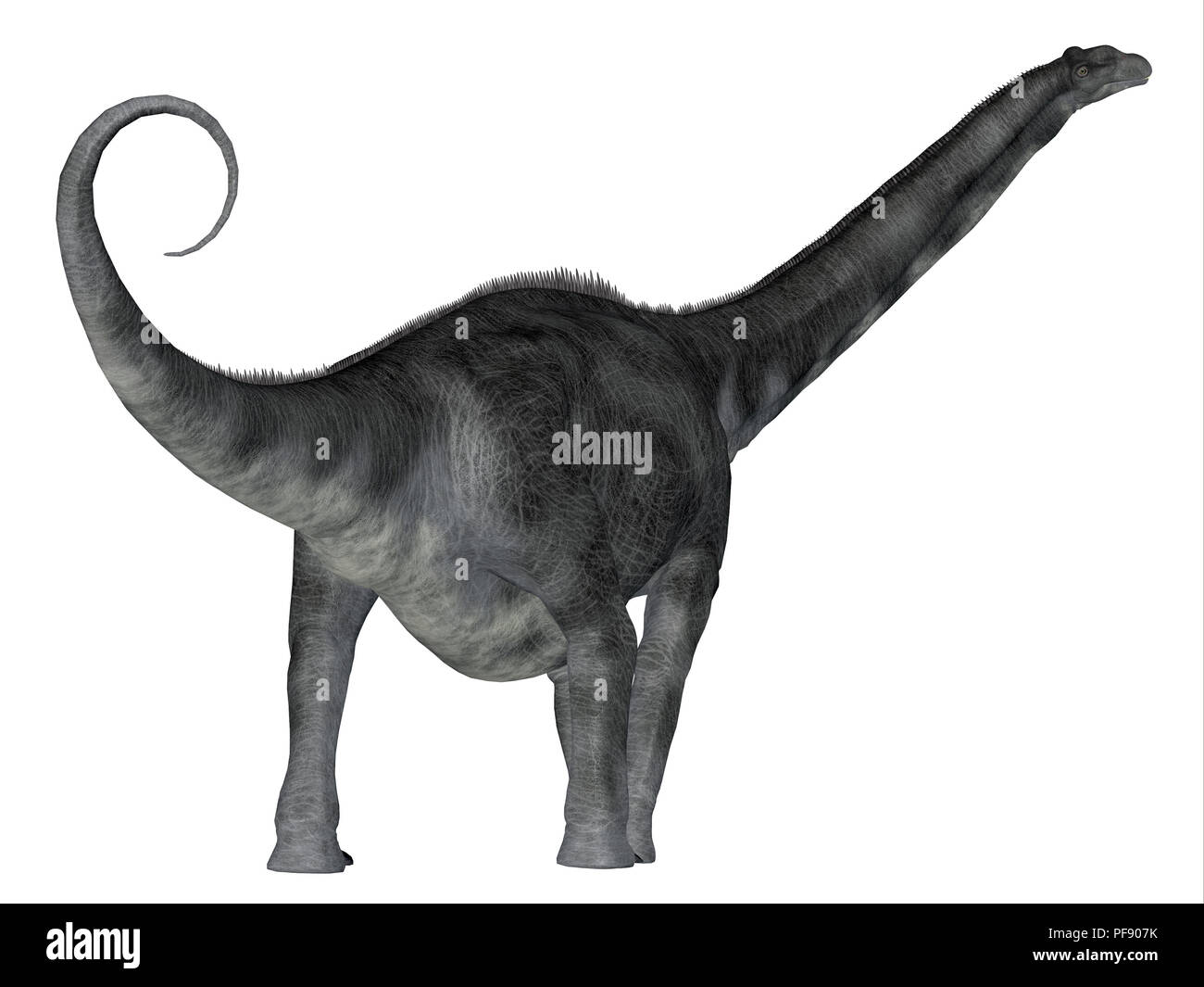 Argentinosaurus hi-res stock photography and images - Alamy