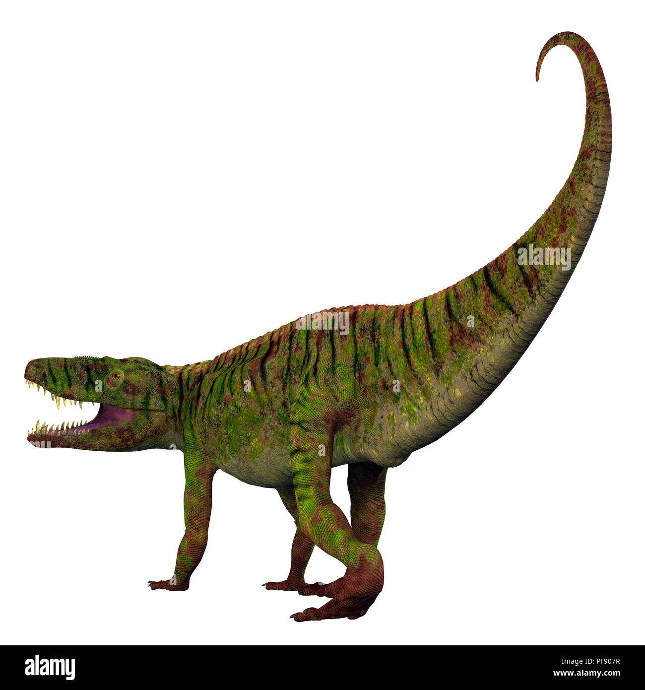 Batrachotomus Dinosaur - Batrachotomus was a carnivorous archosaur ...