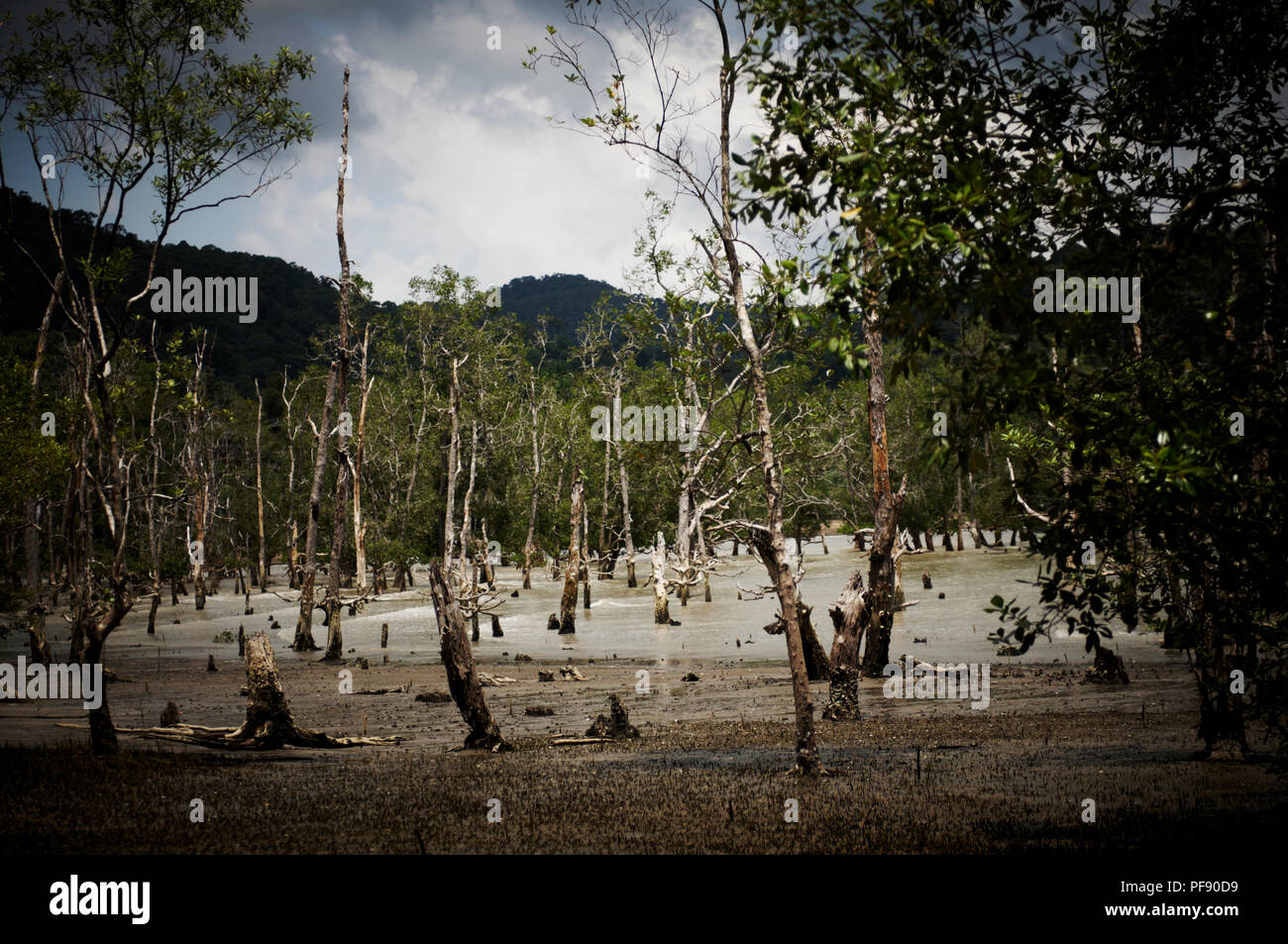 Baku national park hi-res stock photography and images - Alamy