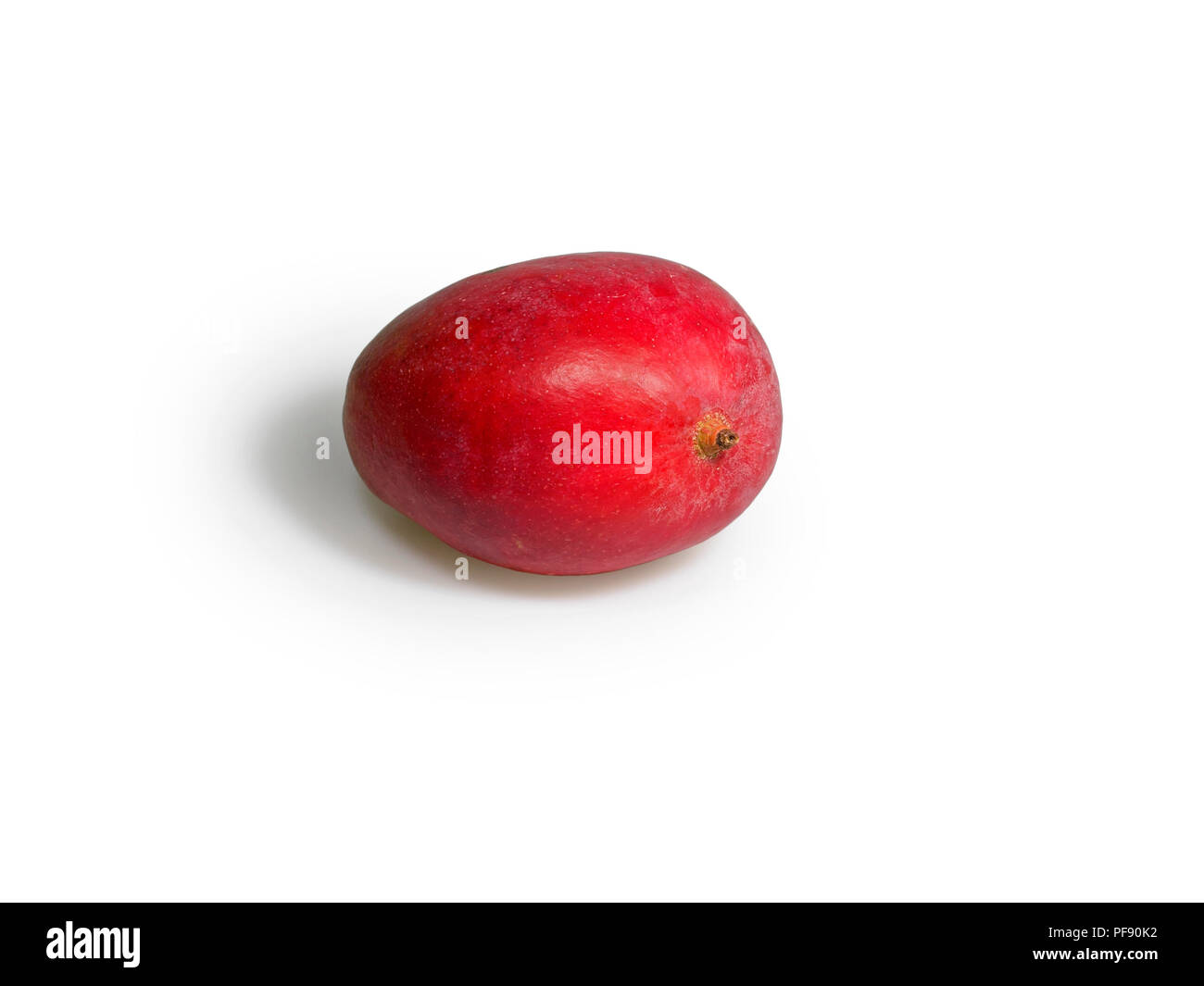 All red fresh mango on white background Stock Photo - Alamy