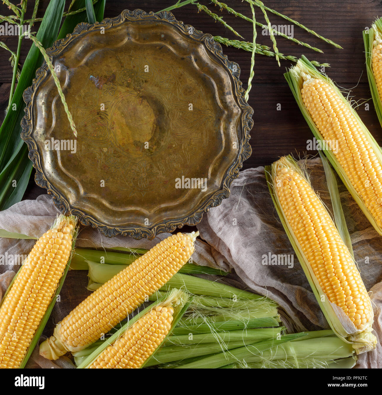 Empty corn cob hi-res stock photography and images - Alamy
