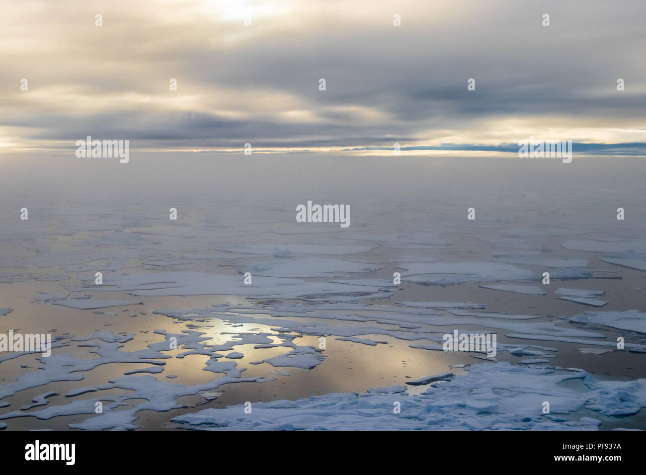 North Ice Edge at 82 41.01 degrees North from Svalbard at golden hr ...