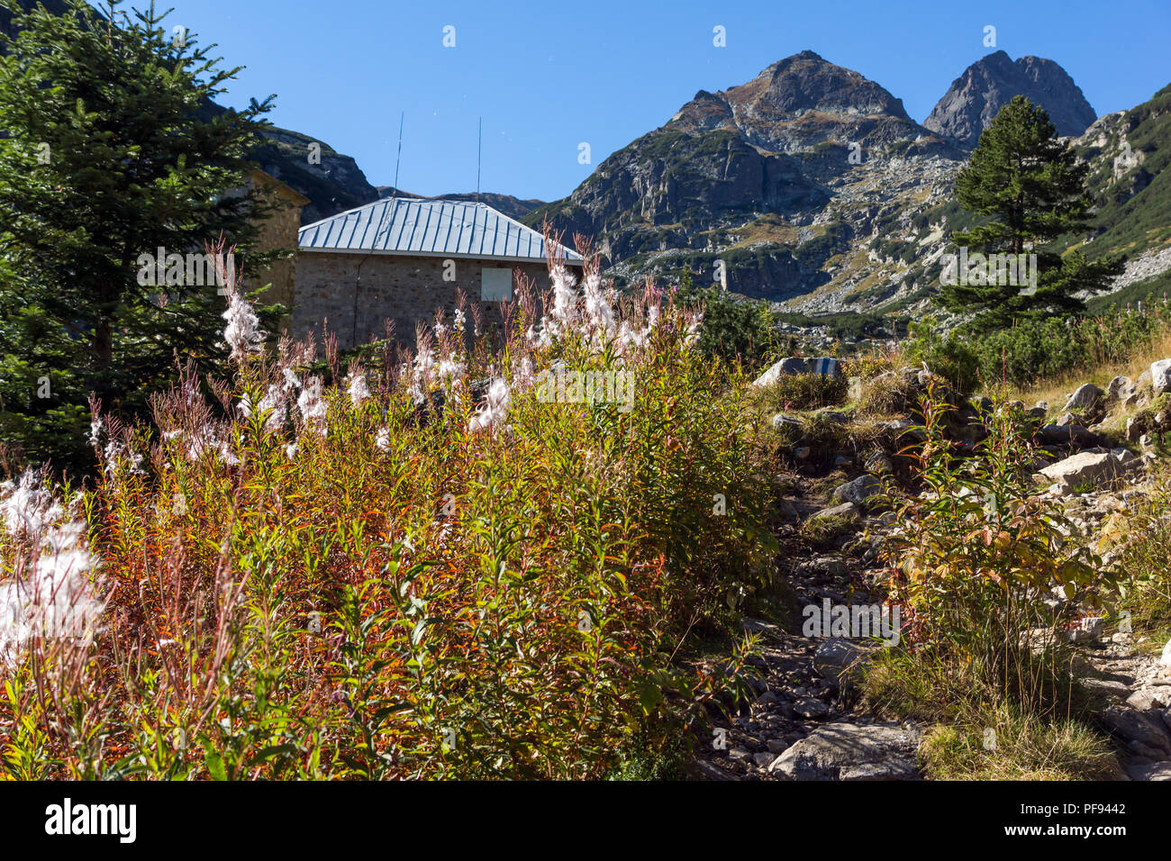 Landscape with Trail to climbing Malyovitsa peak, Rila Mountain ...