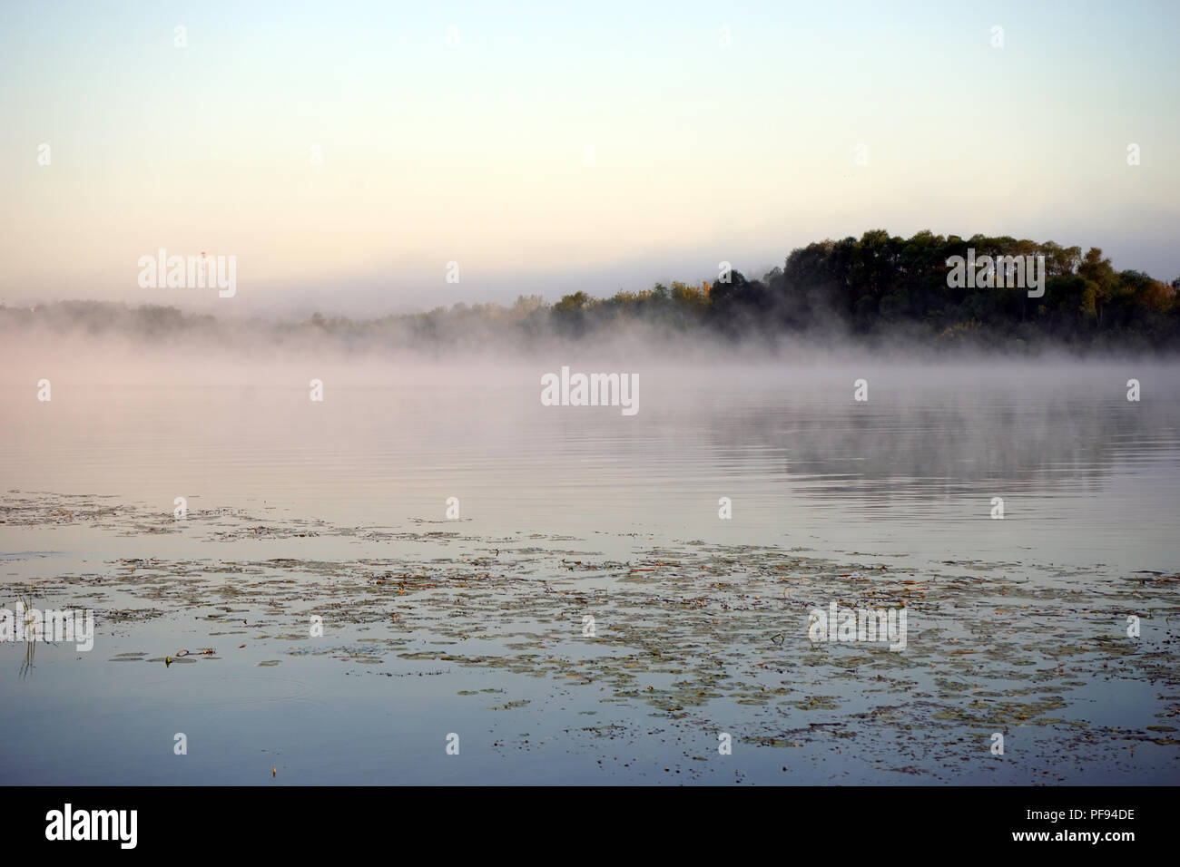 Mist on the river Oka, Russia Stock Photo - Alamy