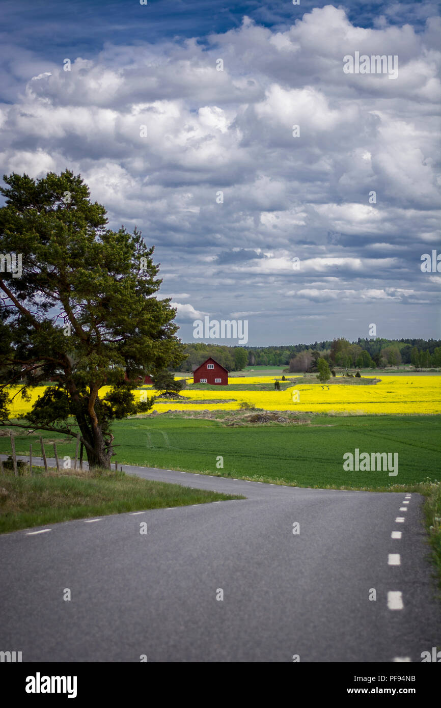 Summer views of Sweden Stock Photo - Alamy