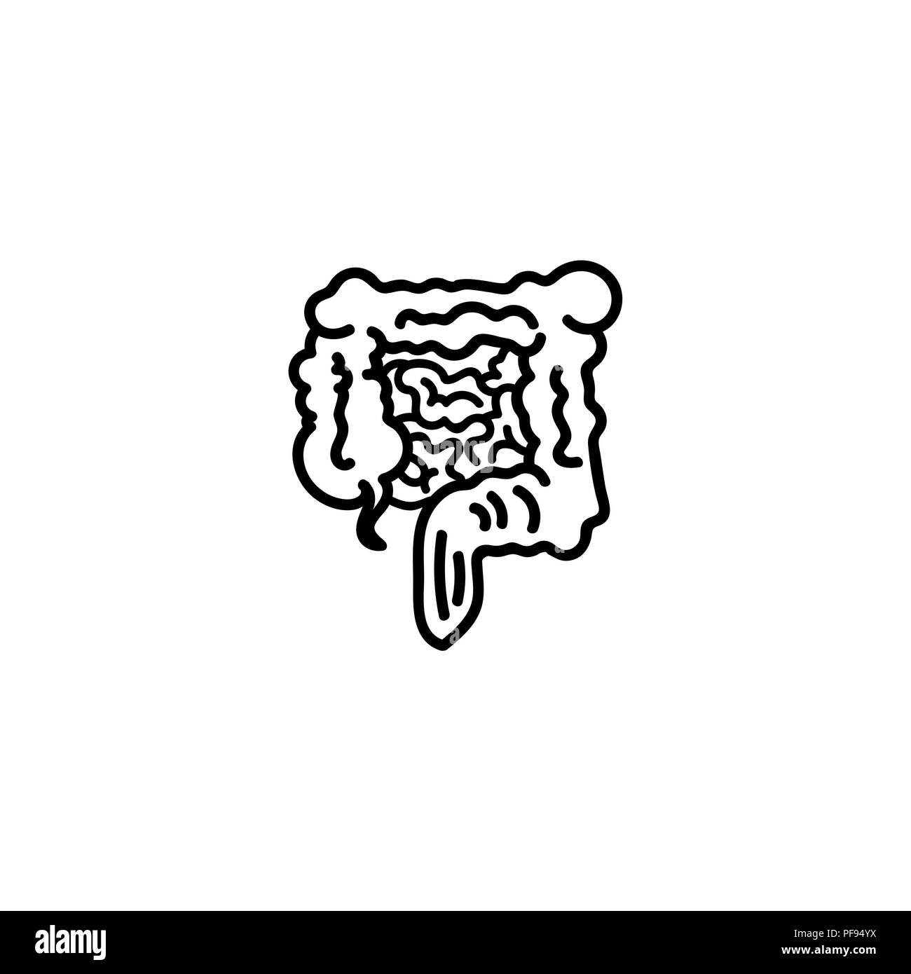 Web line icon. Intestines black on white background Stock Vector Image ...