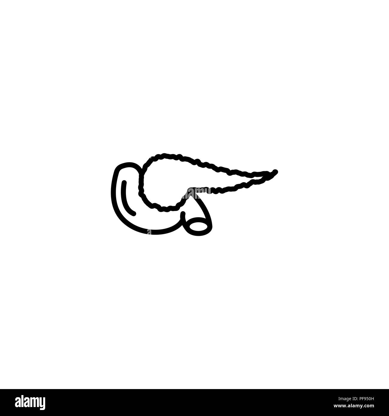 Digestive system diagram Black and White Stock Photos & Images - Alamy