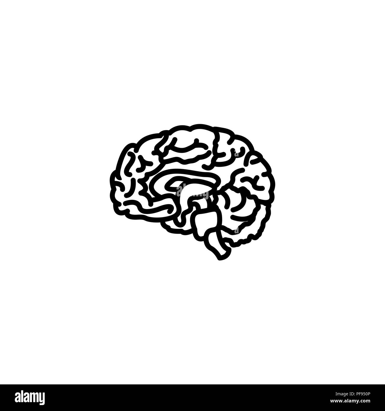 Black And White Human Brain