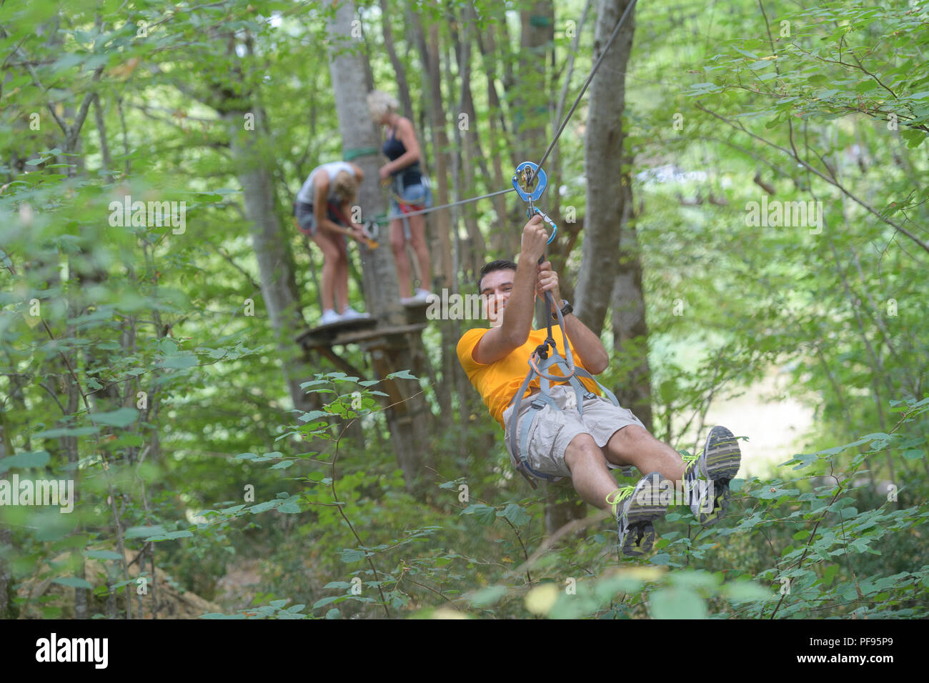 a man ziplines through the forest Stock Photo - Alamy