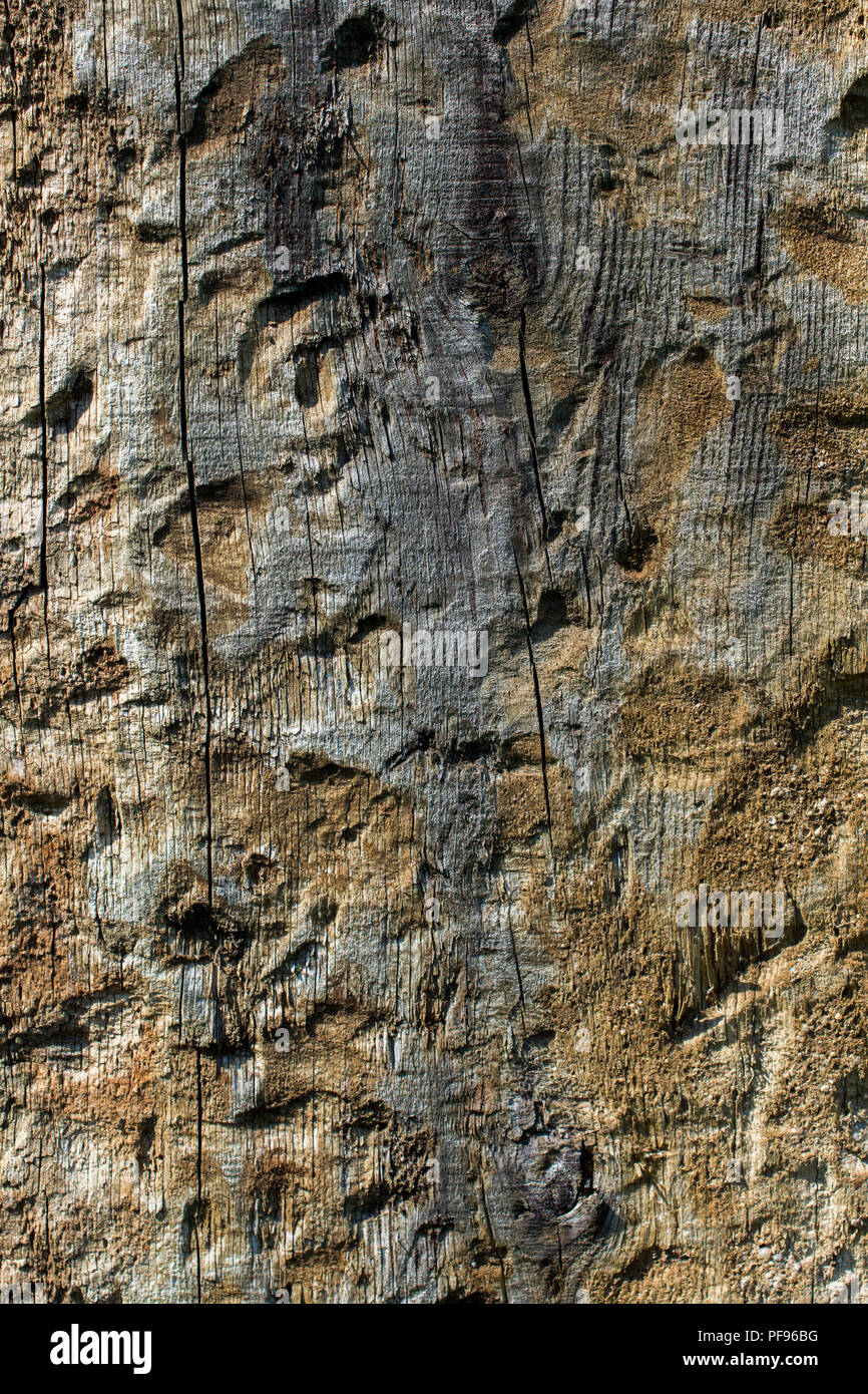 Backdrop and backgrounds texture details in abstract form Stock Photo ...