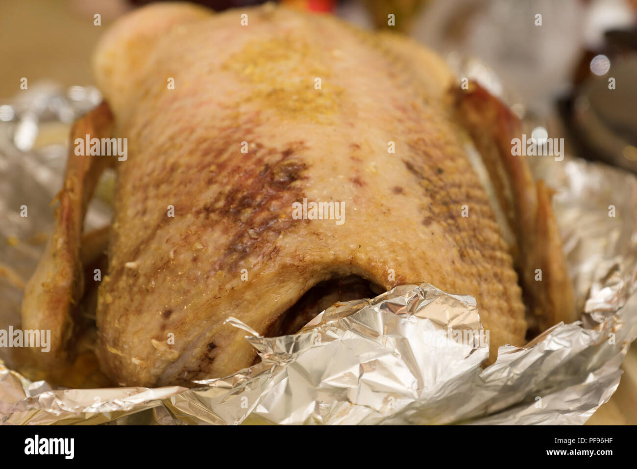 hostess is preparing a large fat duck for the festive table Stock Photo ...