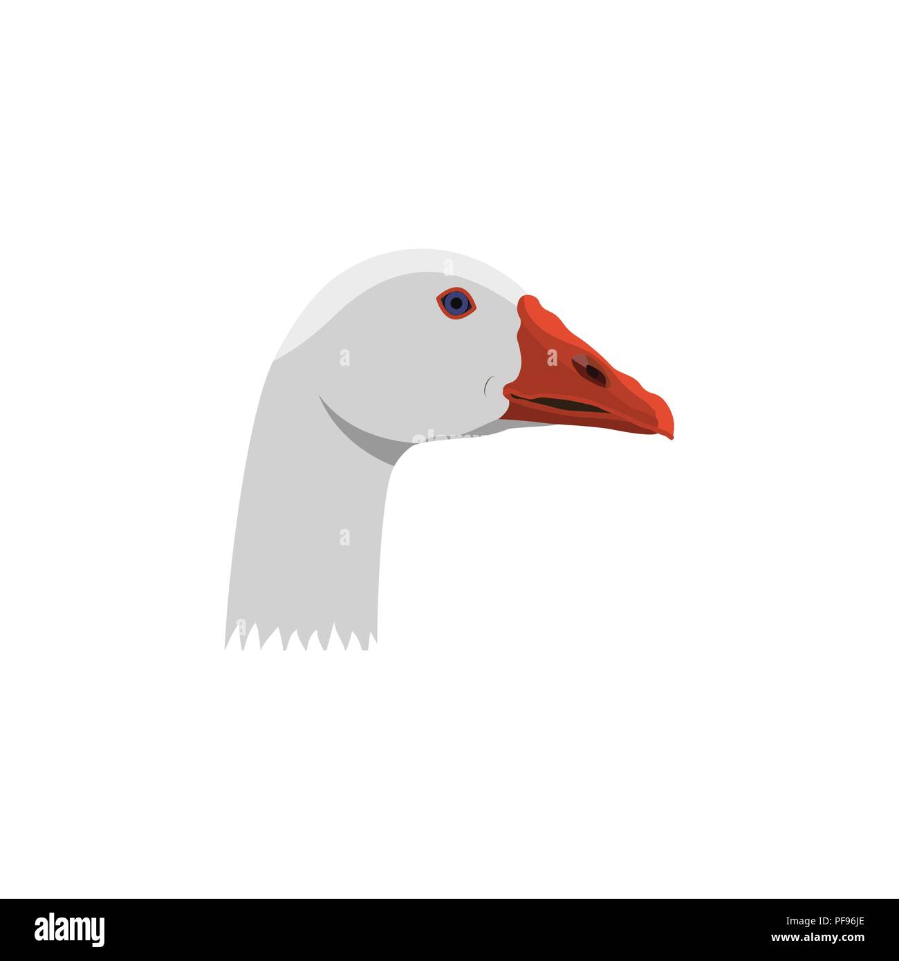Color image. Goose's head on a white background Stock Vector Image ...