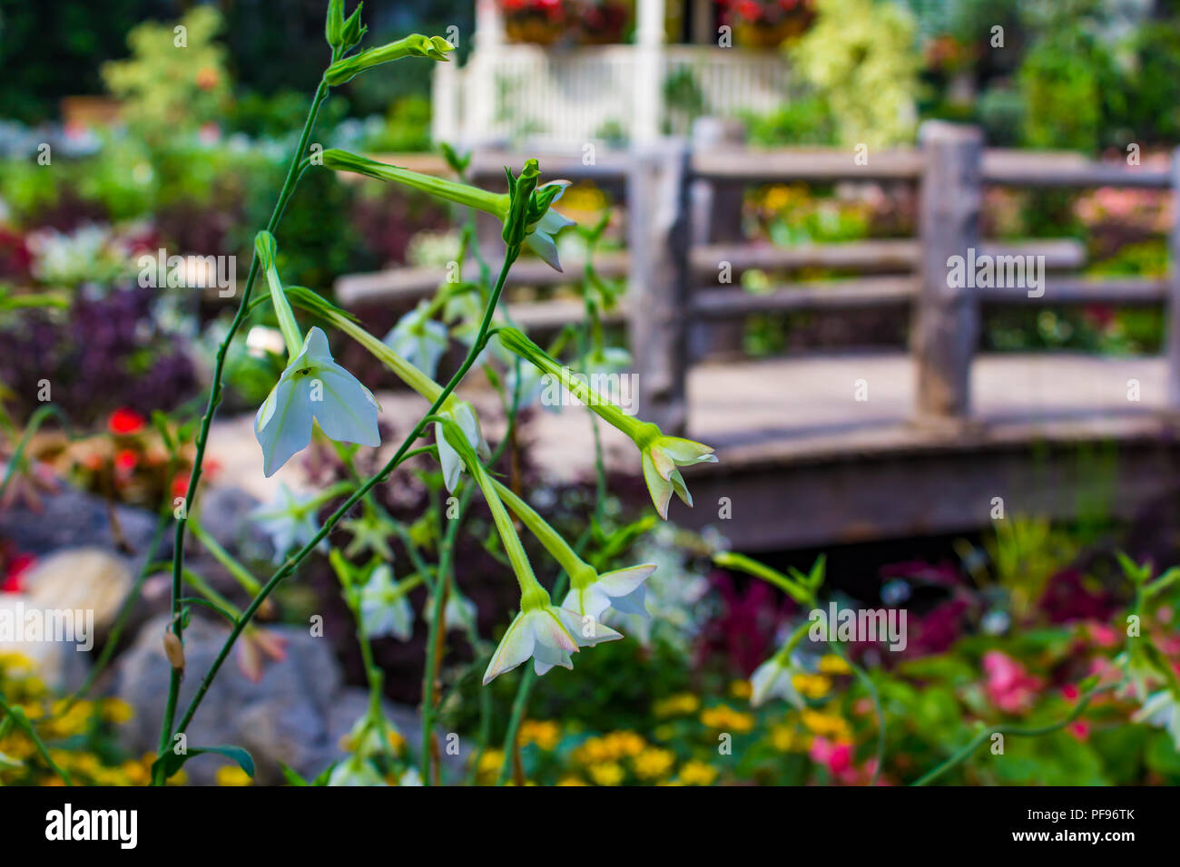 Austin koeckeritz hi-res stock photography and images - Alamy