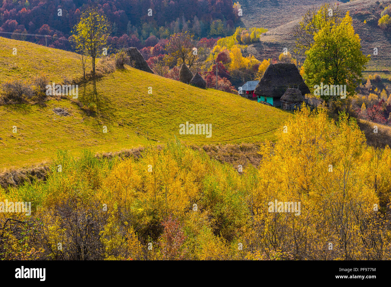 Autumn scene in the Transylvanian Alps, Romania. Colorful foliage ...
