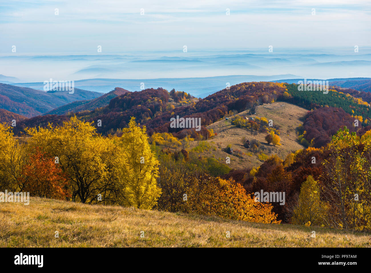 Autumn scene in the Transylvanian Alps, Romania. Colorful foliage ...