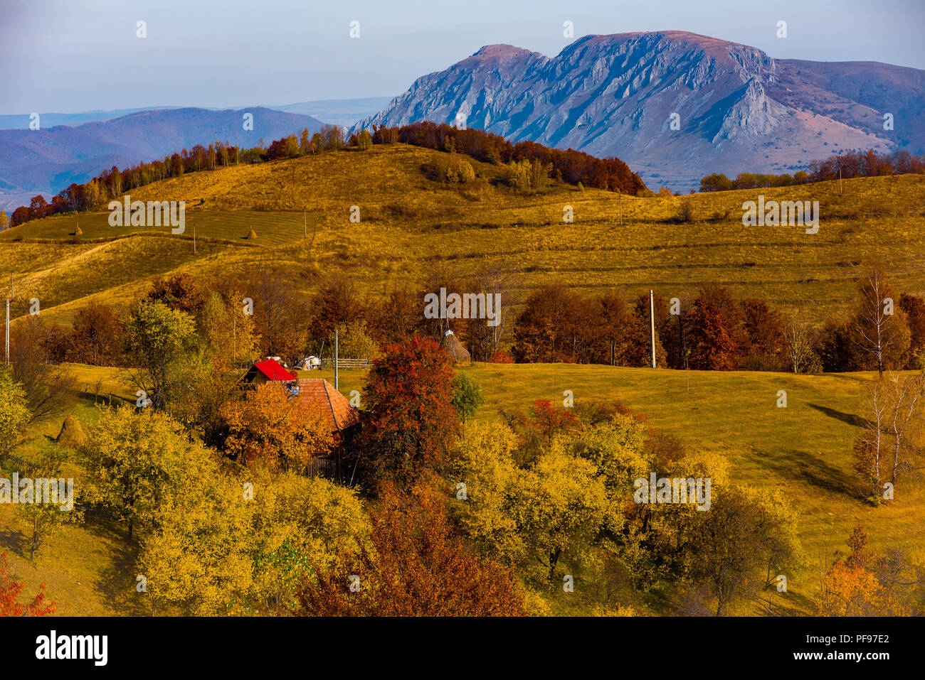 Autumn scene in the Transylvanian Alps, Romania. Colorful foliage ...