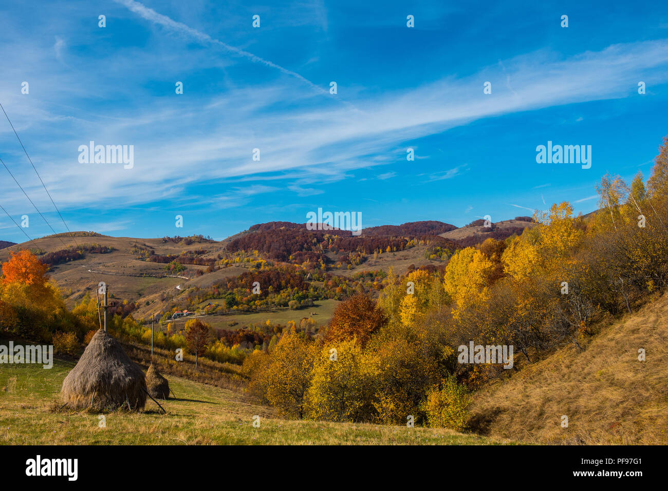 Autumn scene in the Transylvanian Alps, Romania. Colorful foliage ...