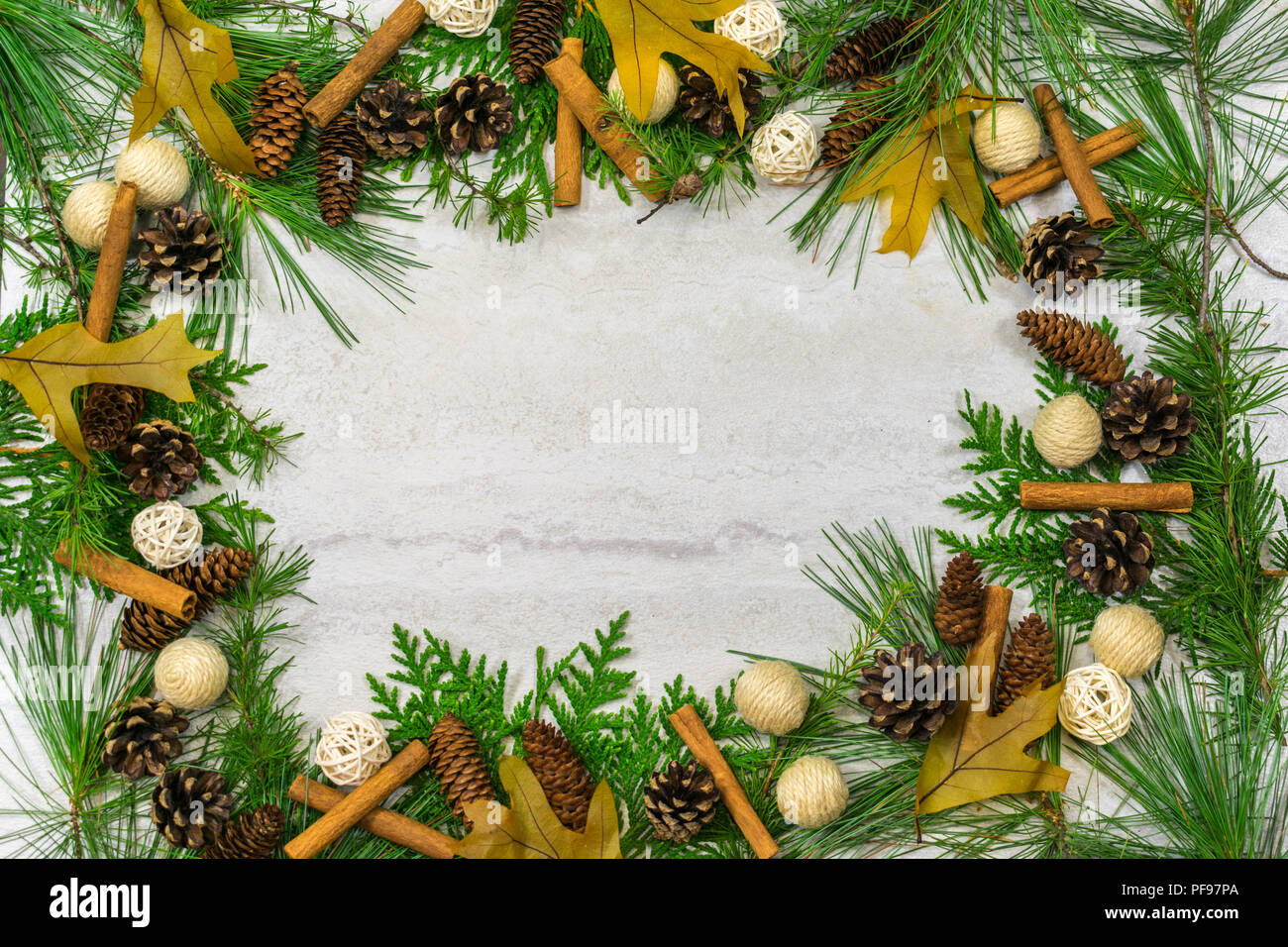 Tamarack Pine High Resolution Stock Photography and Images - Alamy
