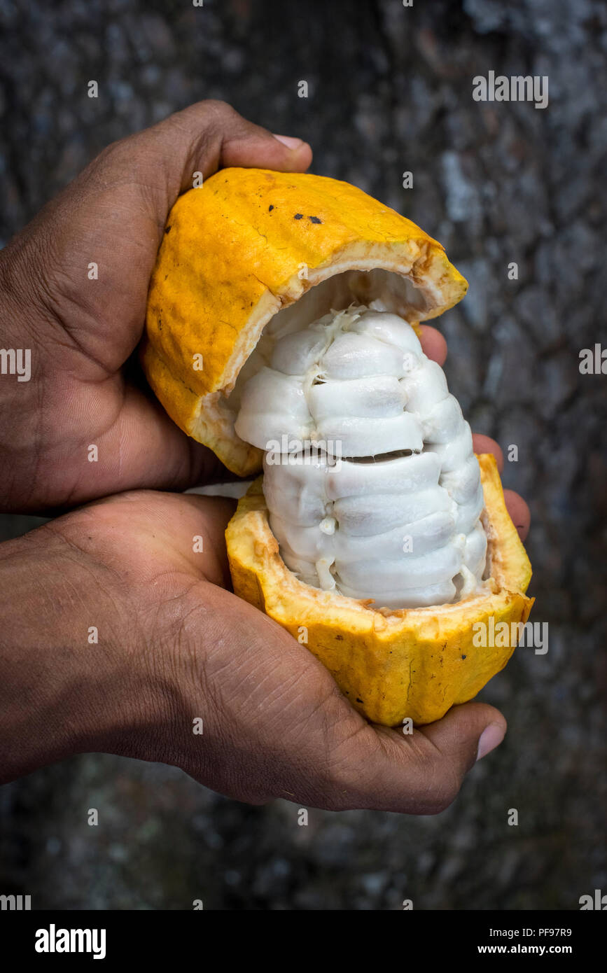 Broken fruit hi-res stock photography and images - Alamy