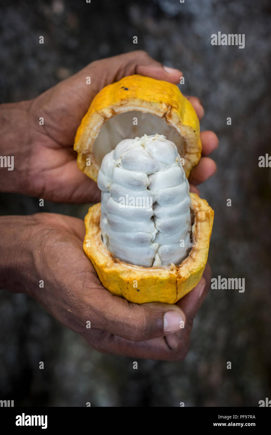 Broken fruit hi-res stock photography and images - Alamy