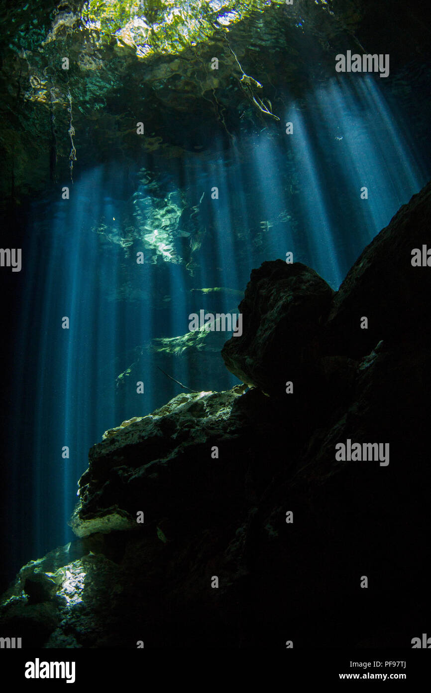 Cave of light from the cave ceiling, underwater cave Cenote Tajma Ha ...