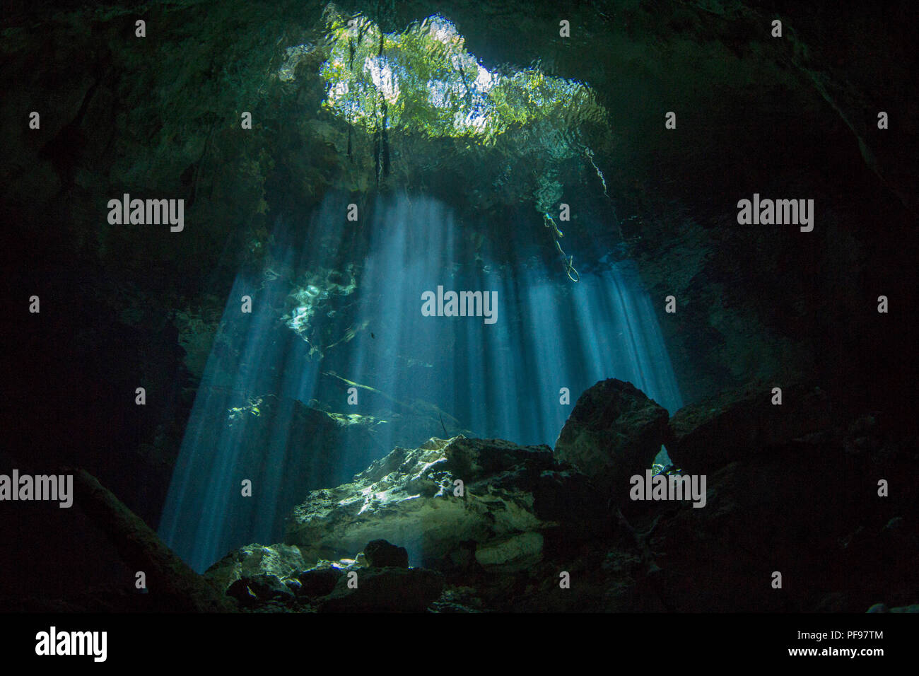 Cave of light from the cave ceiling, underwater cave Cenote Tajma Ha ...