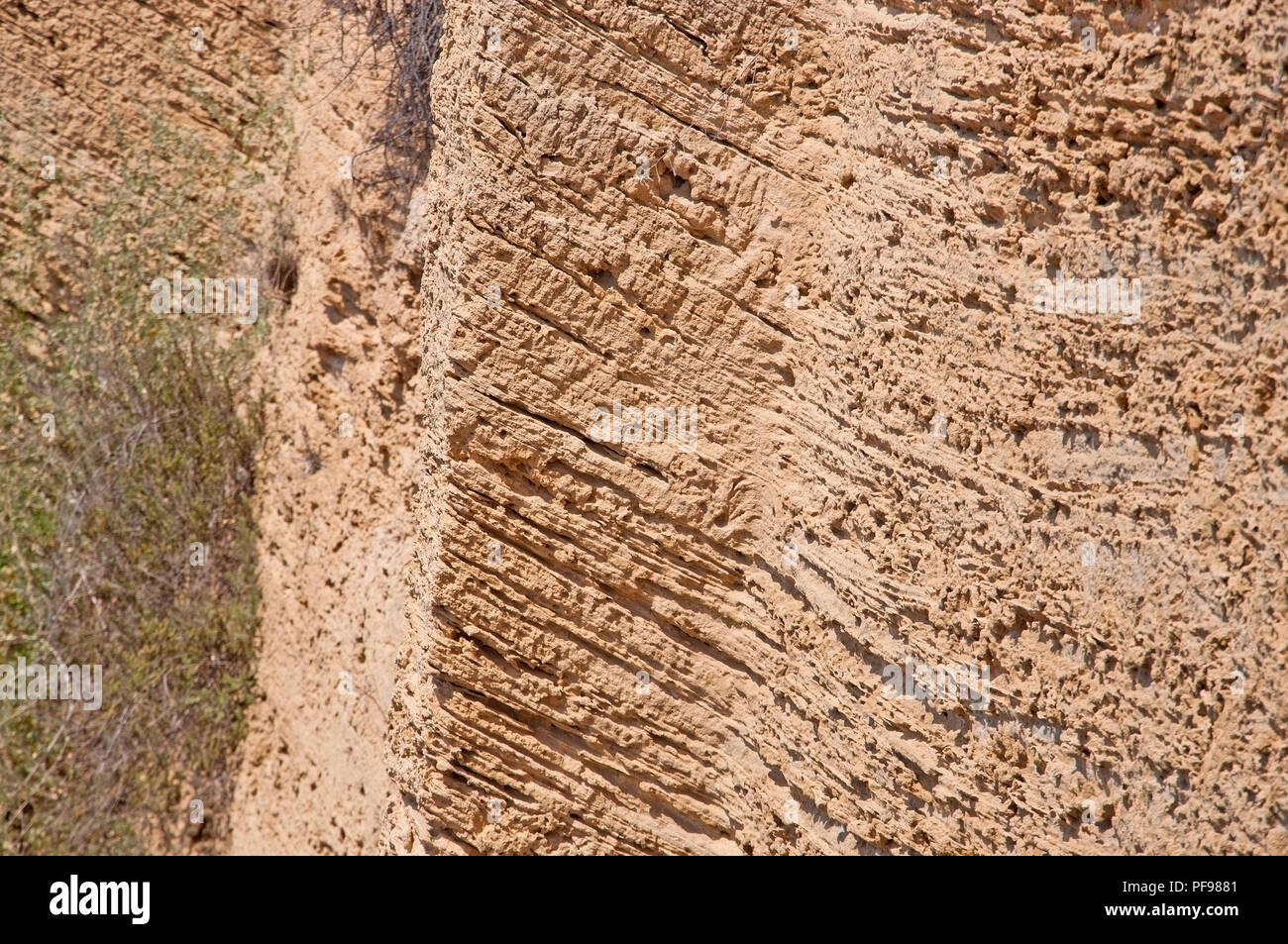Porous banded limestone rock closeup in Es Carnatge, Mallorca, Spain ...
