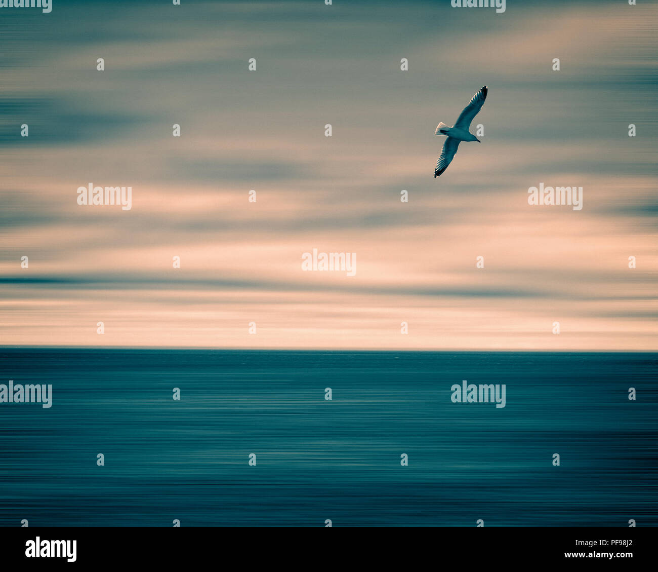 Flying to eternity hi-res stock photography and images - Alamy