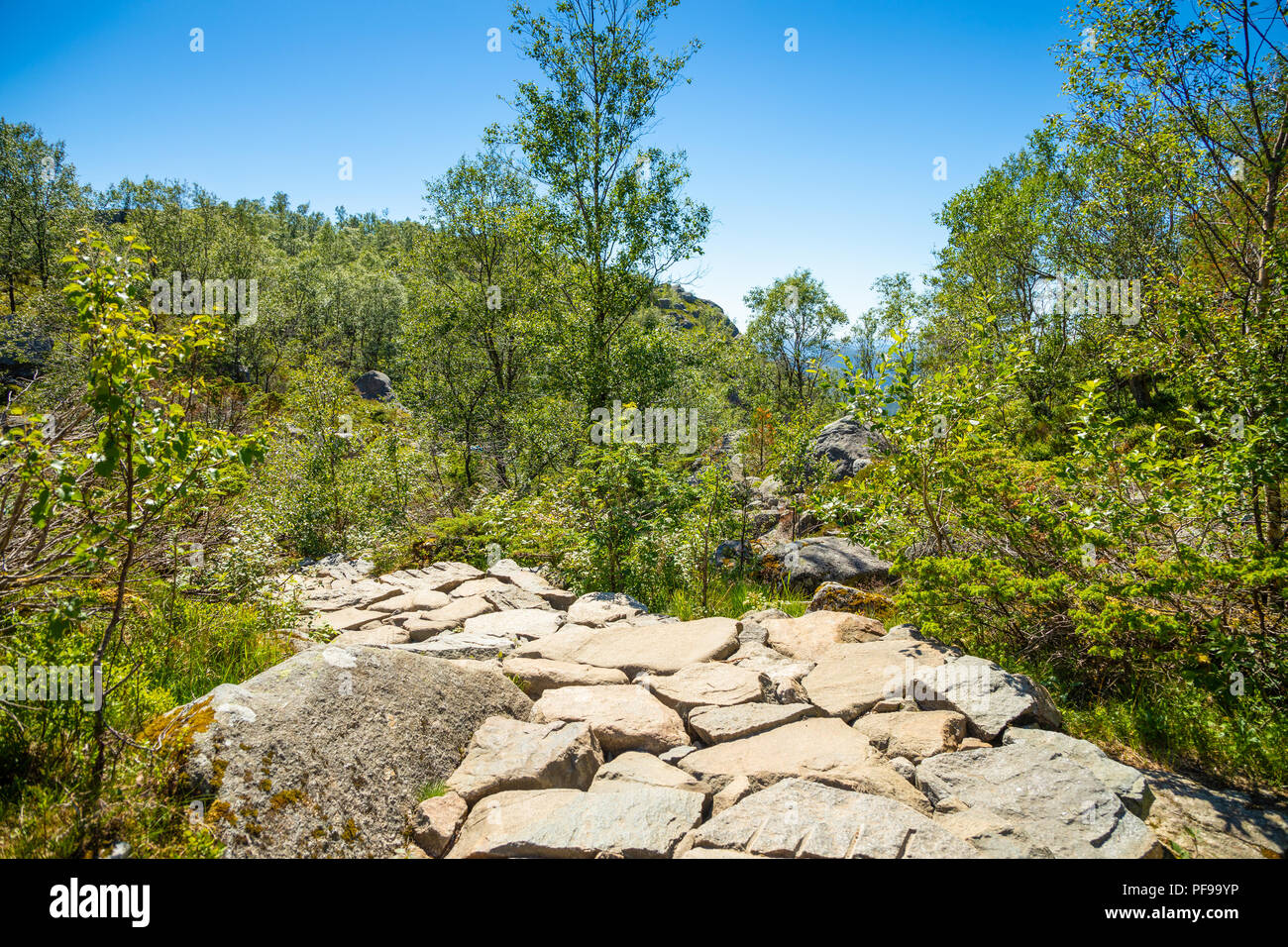 Hiking footpath to the Preikestolen and Lysefjord area, Norway Stock ...