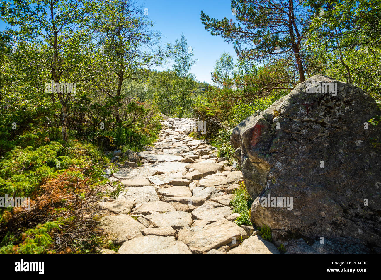 Hiking footpath to the Preikestolen and Lysefjord area, Norway Stock ...